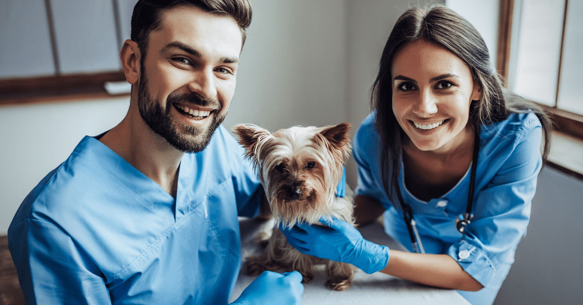 Best Practices for When You Revise Your Veterinary Practice’s Employee ...